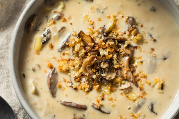 Cheezy Vegan Florentine: Tofu and Mushroom Edition - GENMAG