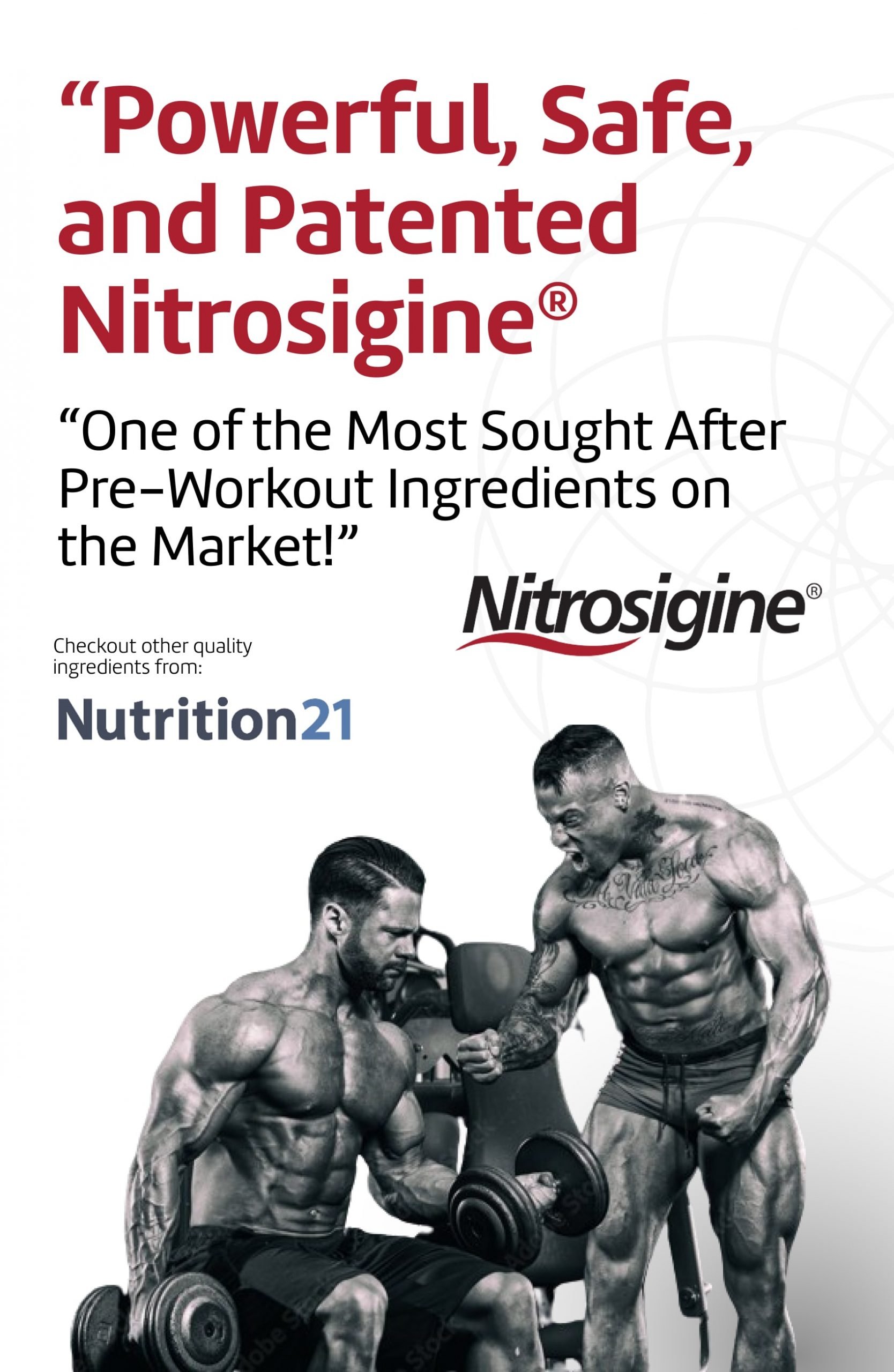 Nitrosigine® by Nutrition21 - GENMAG